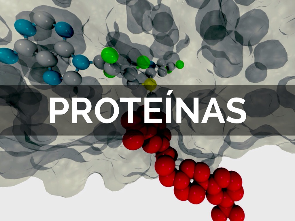 Proteínas by Karen Larriva