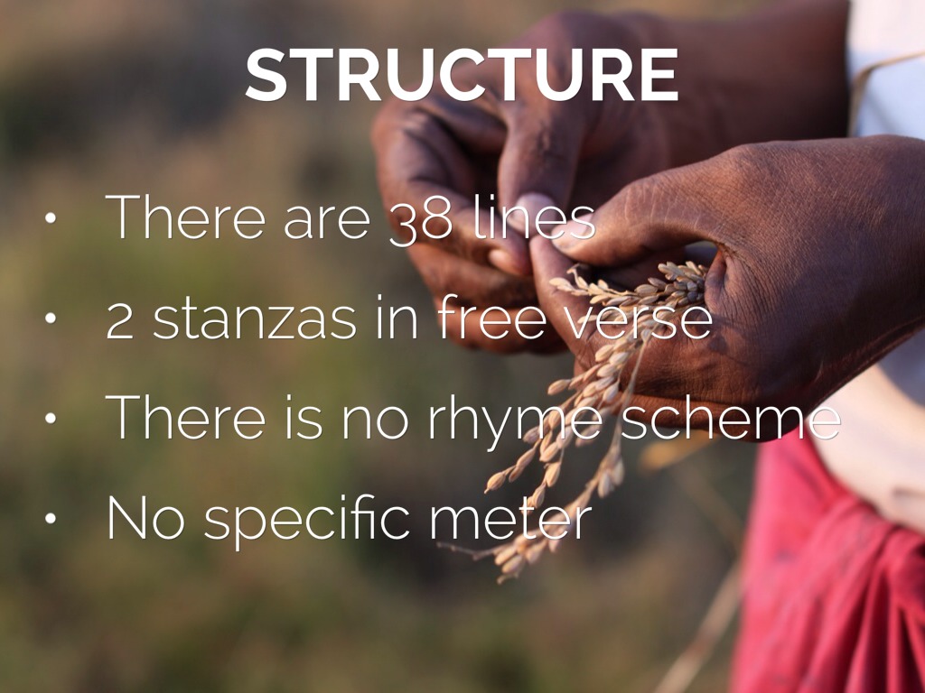 Sweet Like a Crow by Lyndon Vickrey