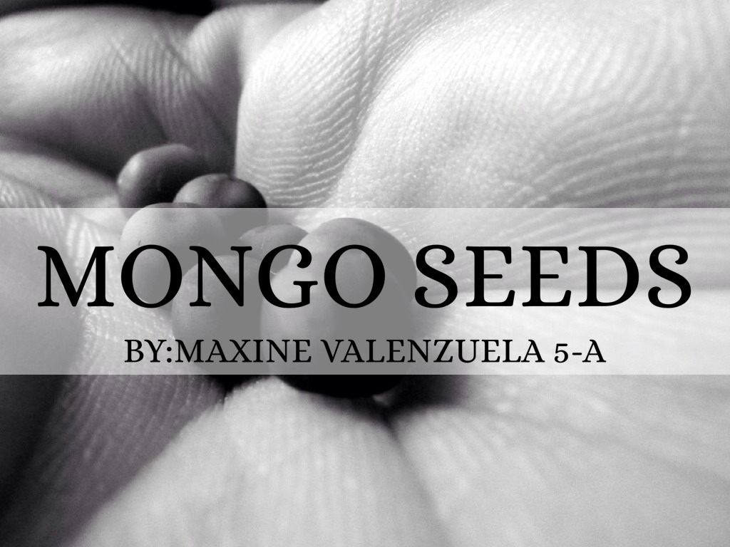 Science Monga Seeds by Maxine Valenzuela