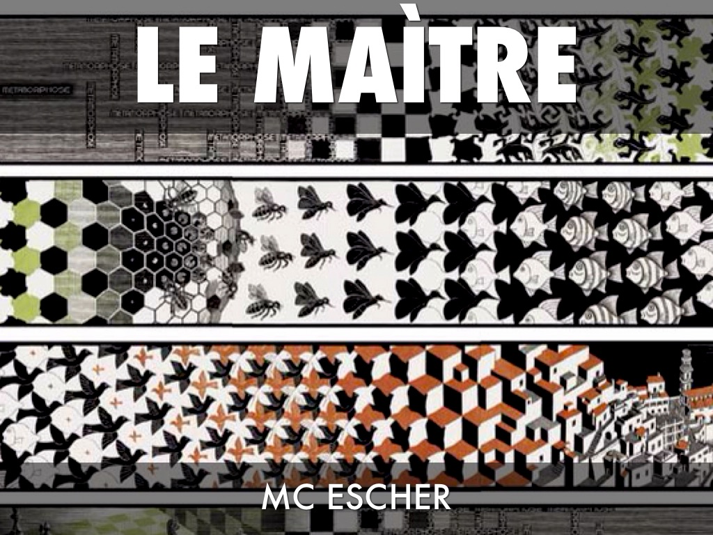 les beaux arts de métamorphose by Natasha Viens