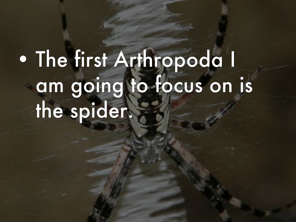 Lean And Dab by Kaleb Heath