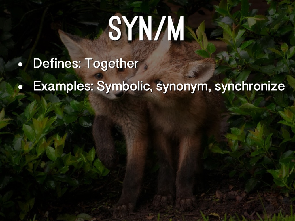 Roots by Oliver Mendoza