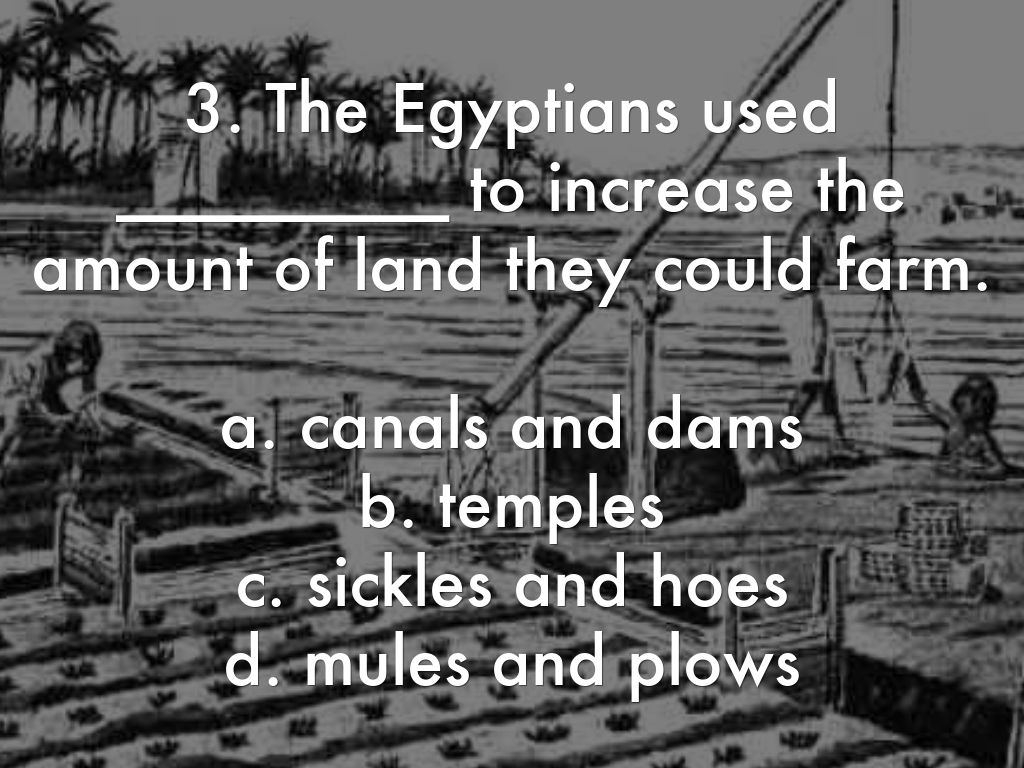 TRIBEs by Anthony Frederick