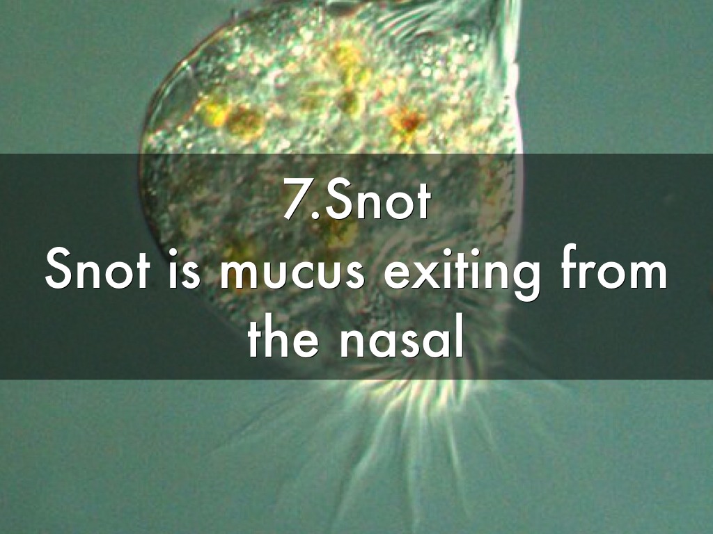 Science by Mckenna Mackey