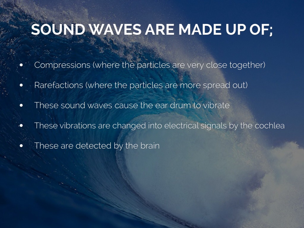 Waves-Summary by Joey Williams