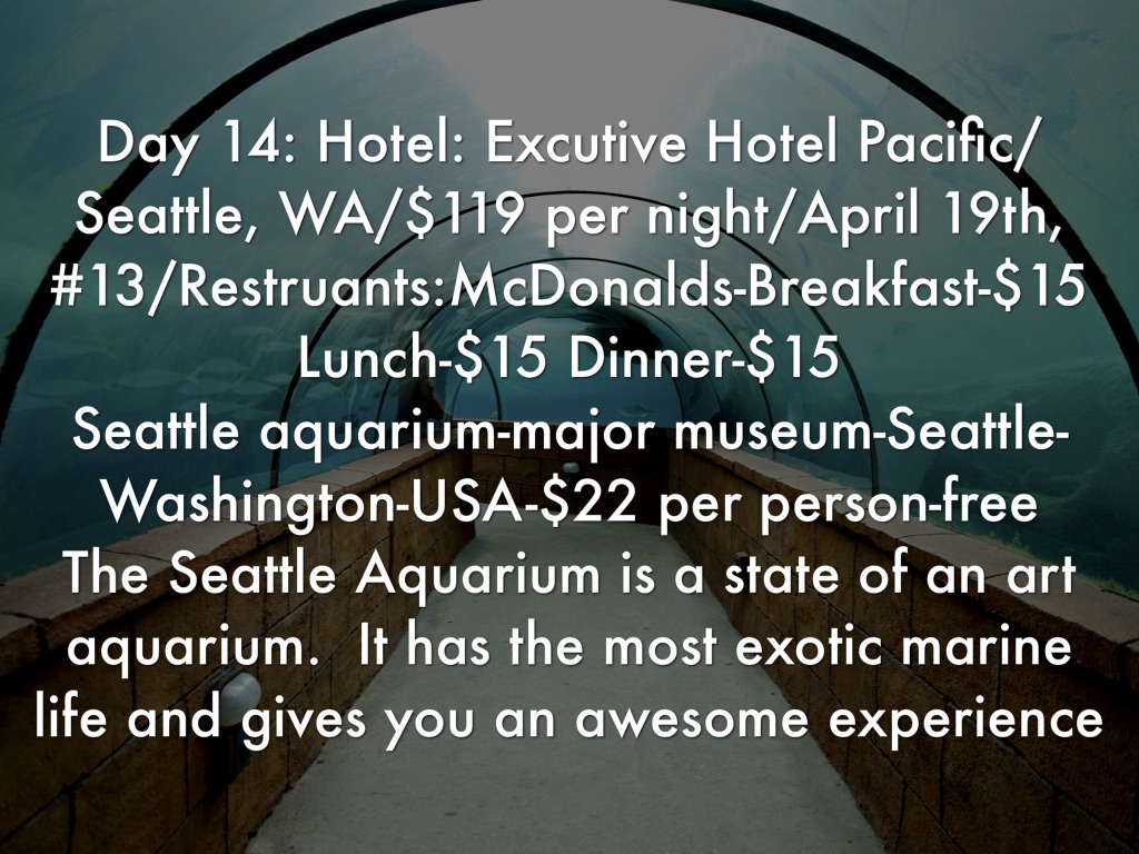 Road Trip by jack rathe