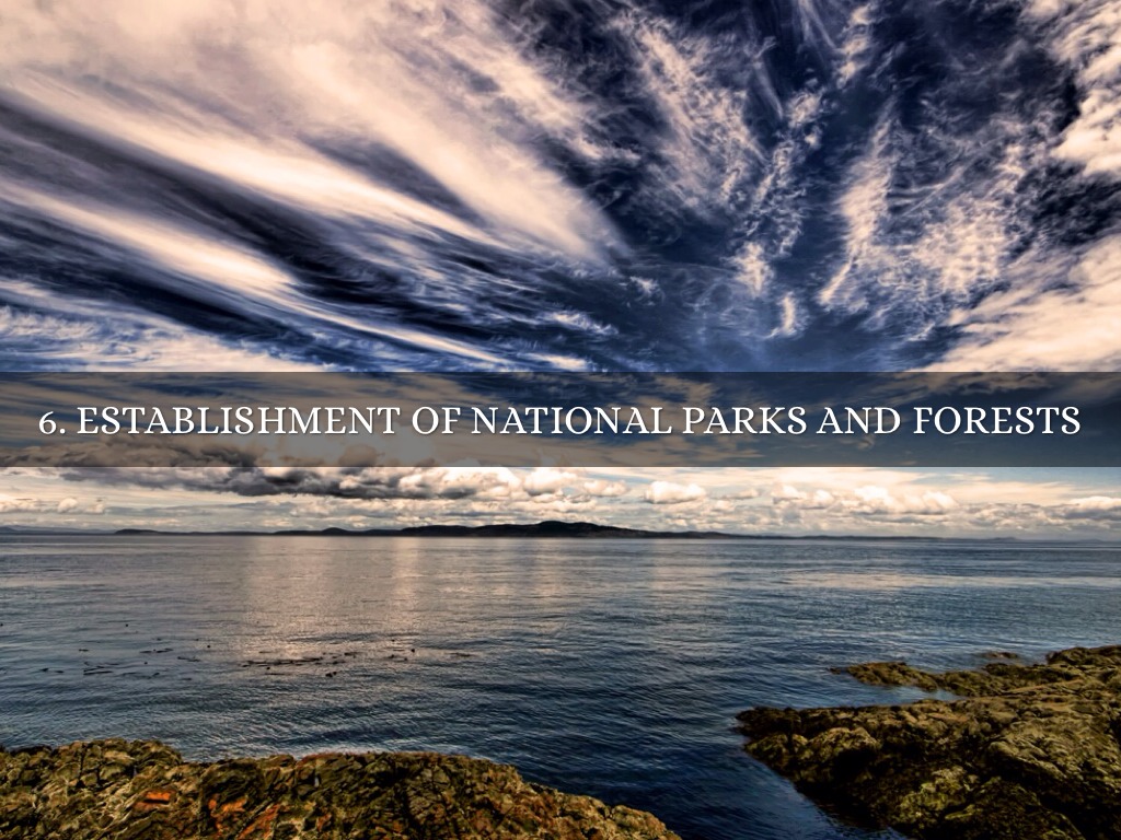 Republic Of Calpon by Mckenzie Grigg