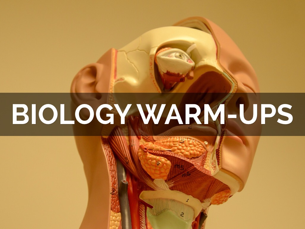 Yr 9 Biology Warm Ups by Charmaine Keal