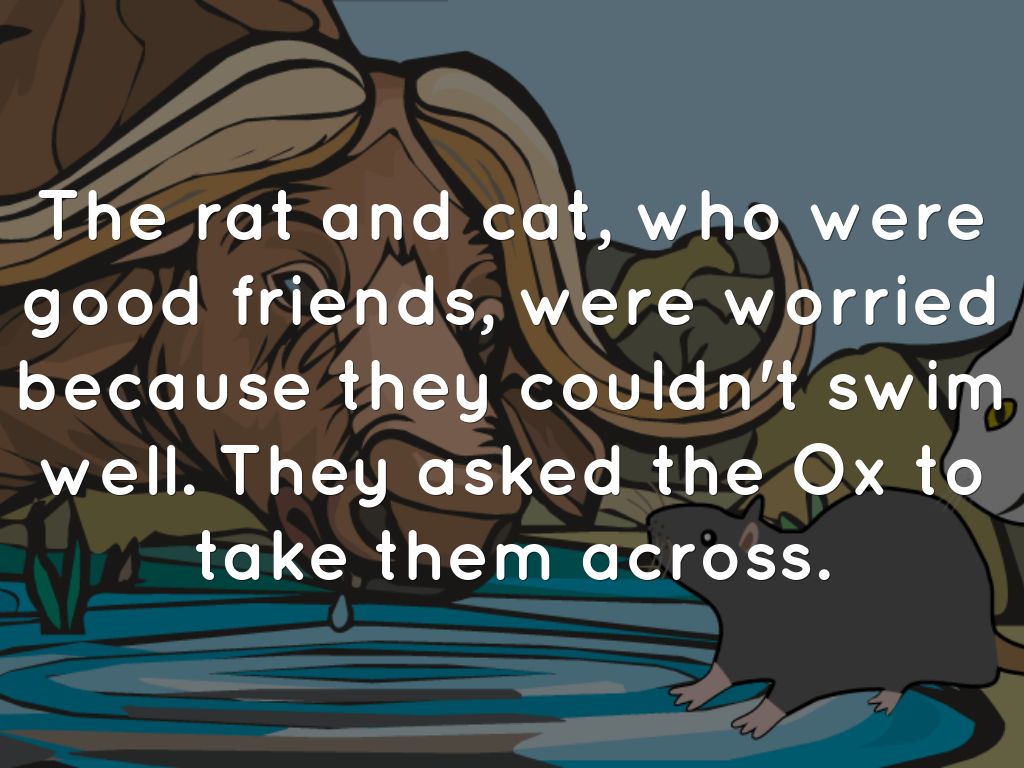 Chinese zodiac by Brit Hunter