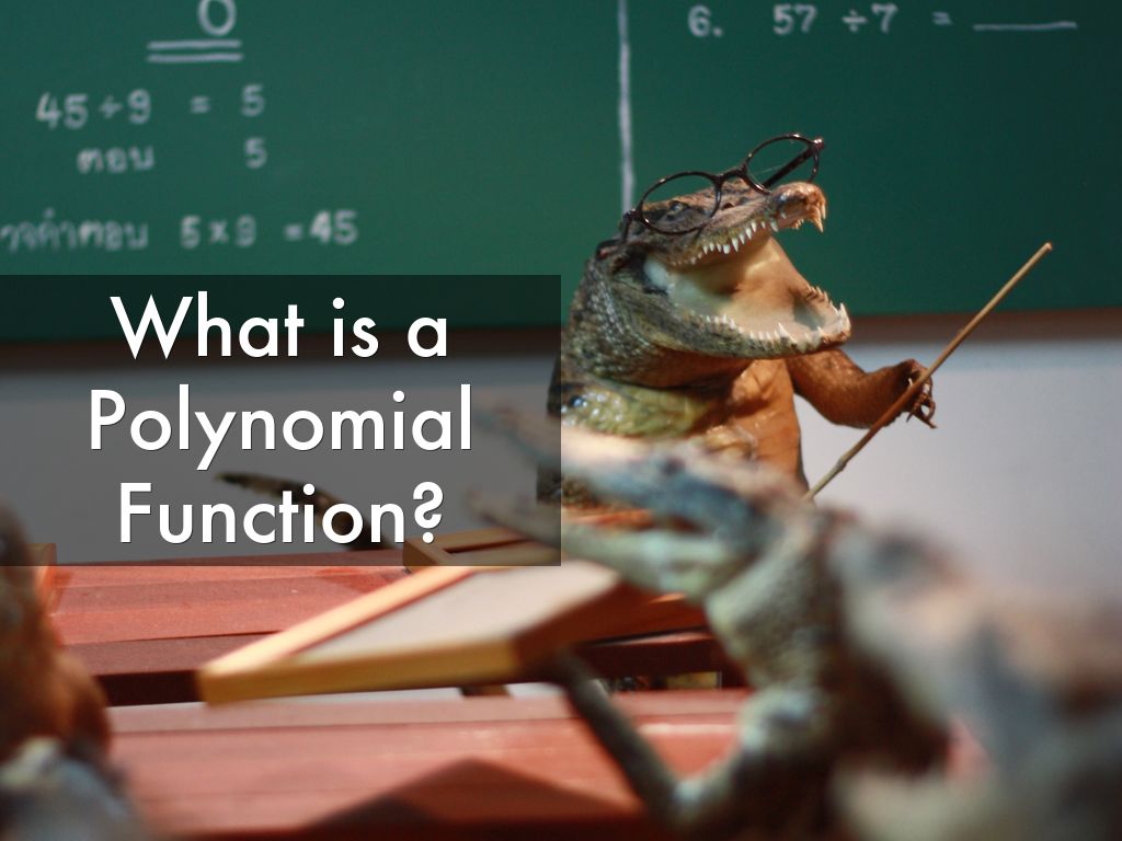 POLYNOMIAL FUNCTION AND REAL LIFE By Kerwinyan
