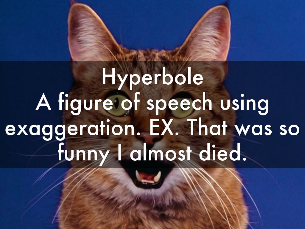 Hyperbole A figure of speech using exaggeration. EX.