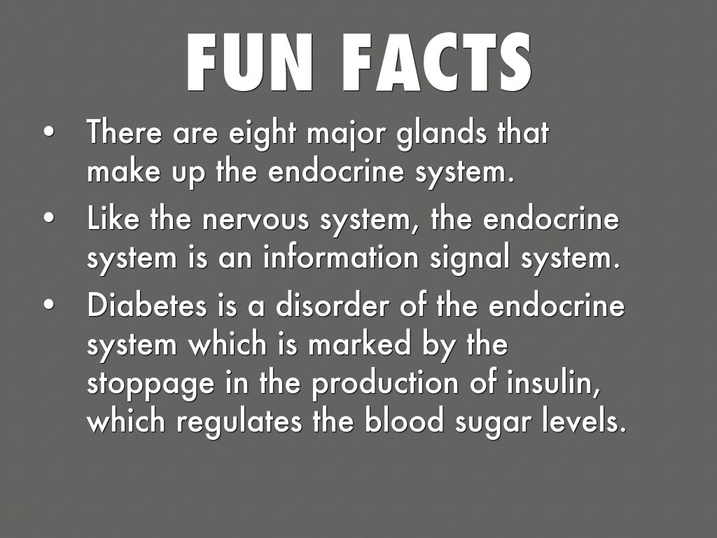 Fun Facts About The Endocrine System Slideshare