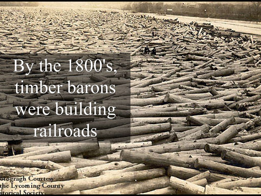 Williamsport by kegrayy19