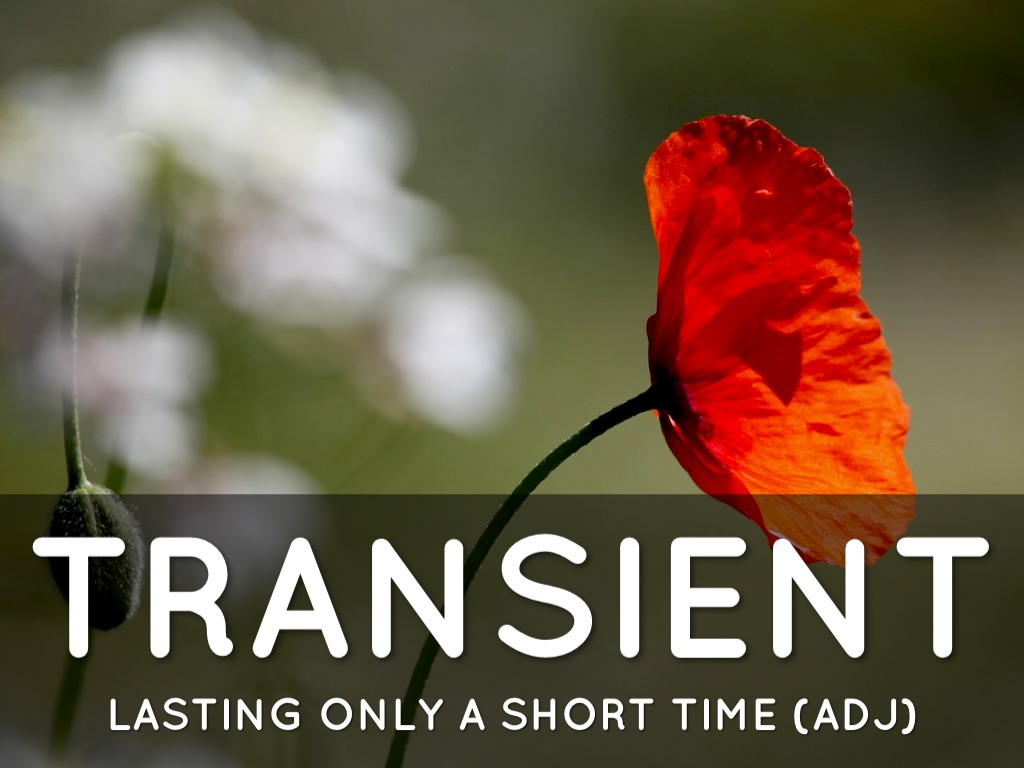 Quater 4 Vocabulary by Sydney Ruesink