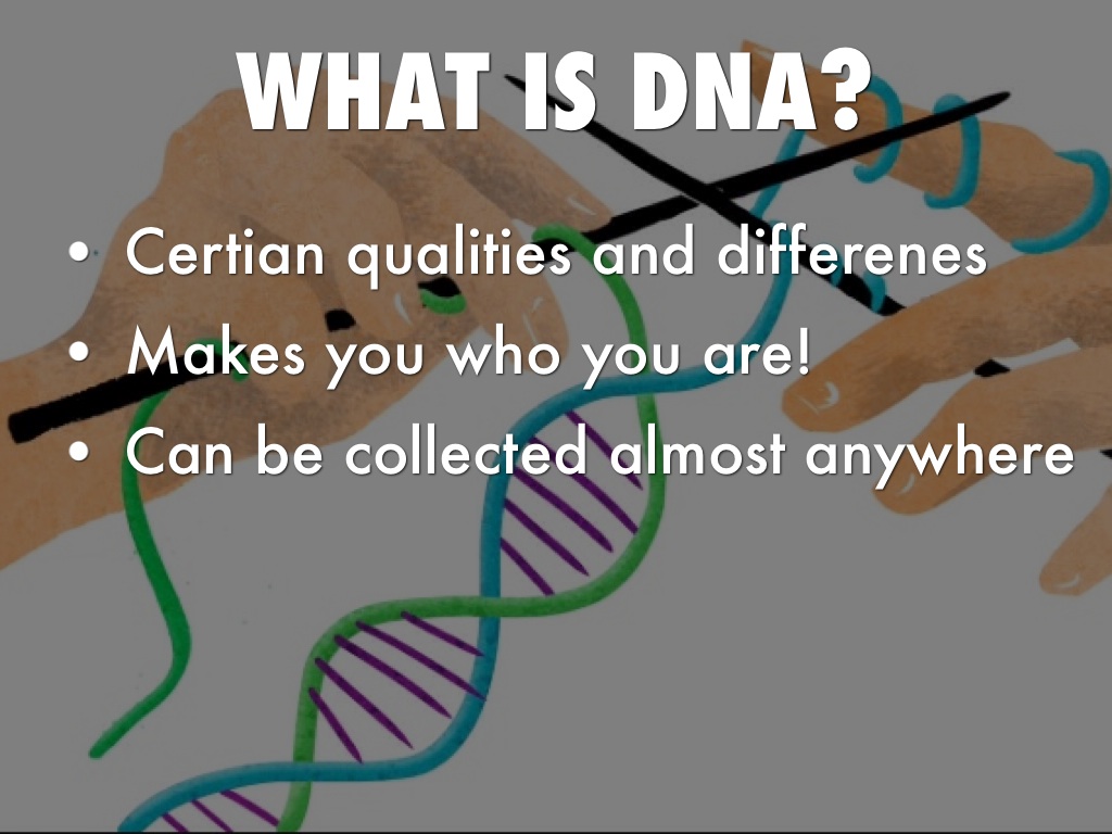 Untitled Haiku Deck by Abby Wahl