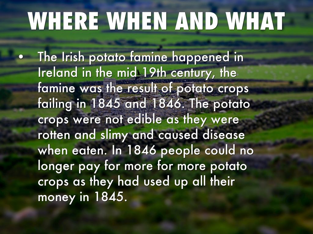 Irish Potato Famine by Sarah Aoun-walker