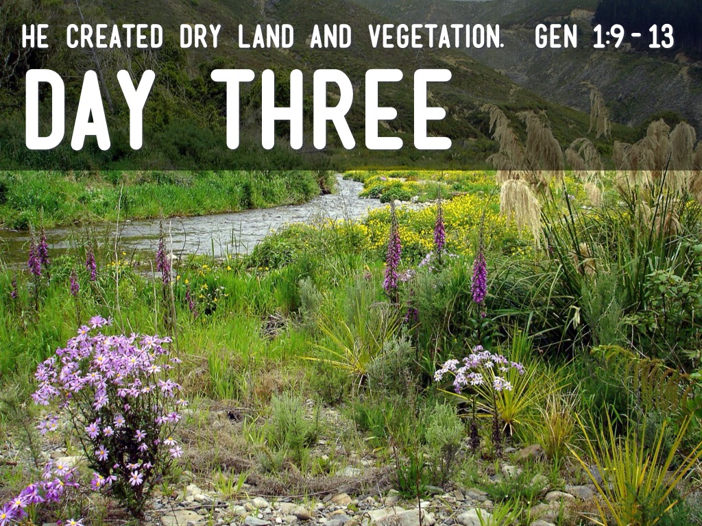 Creation by Mark Elli