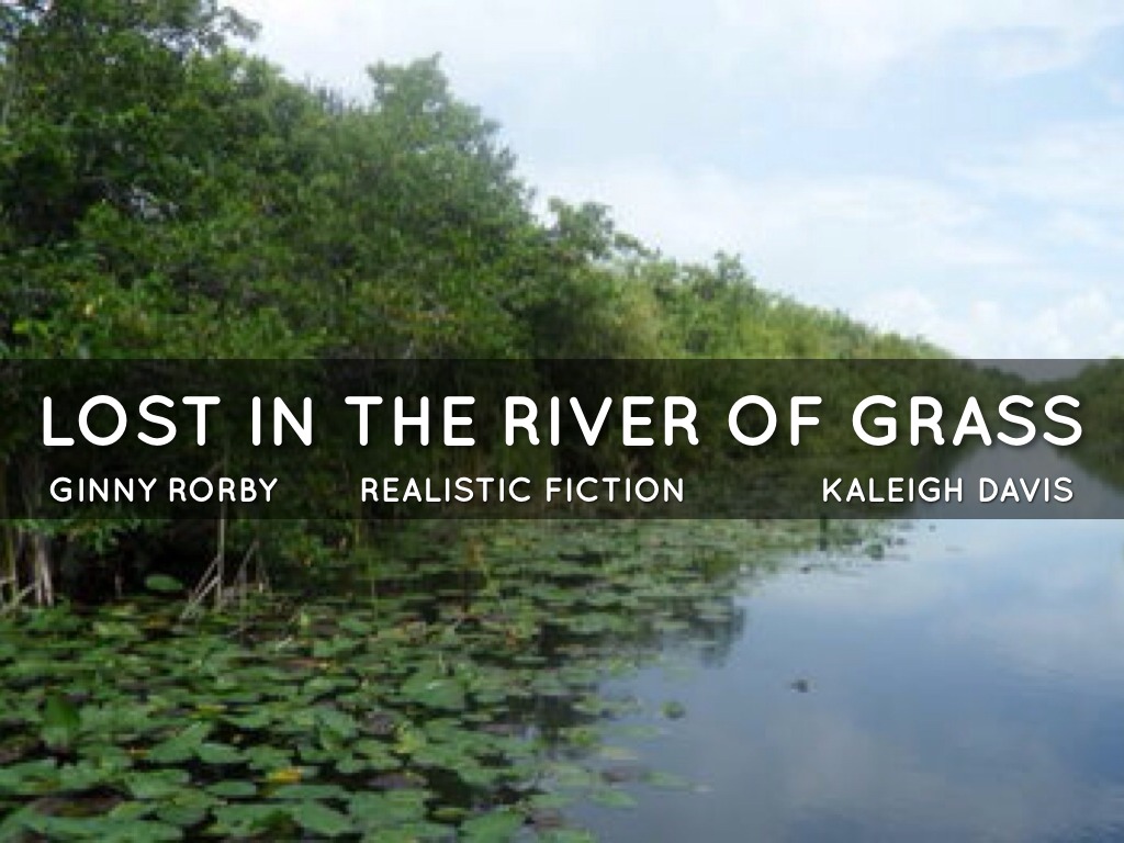 Lost in the River of Grass by Kaleigh Davis