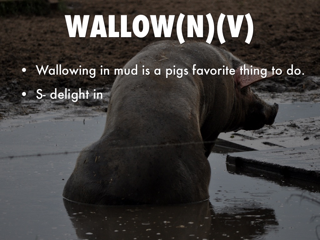 Vocab Unit 7 by Nicholas