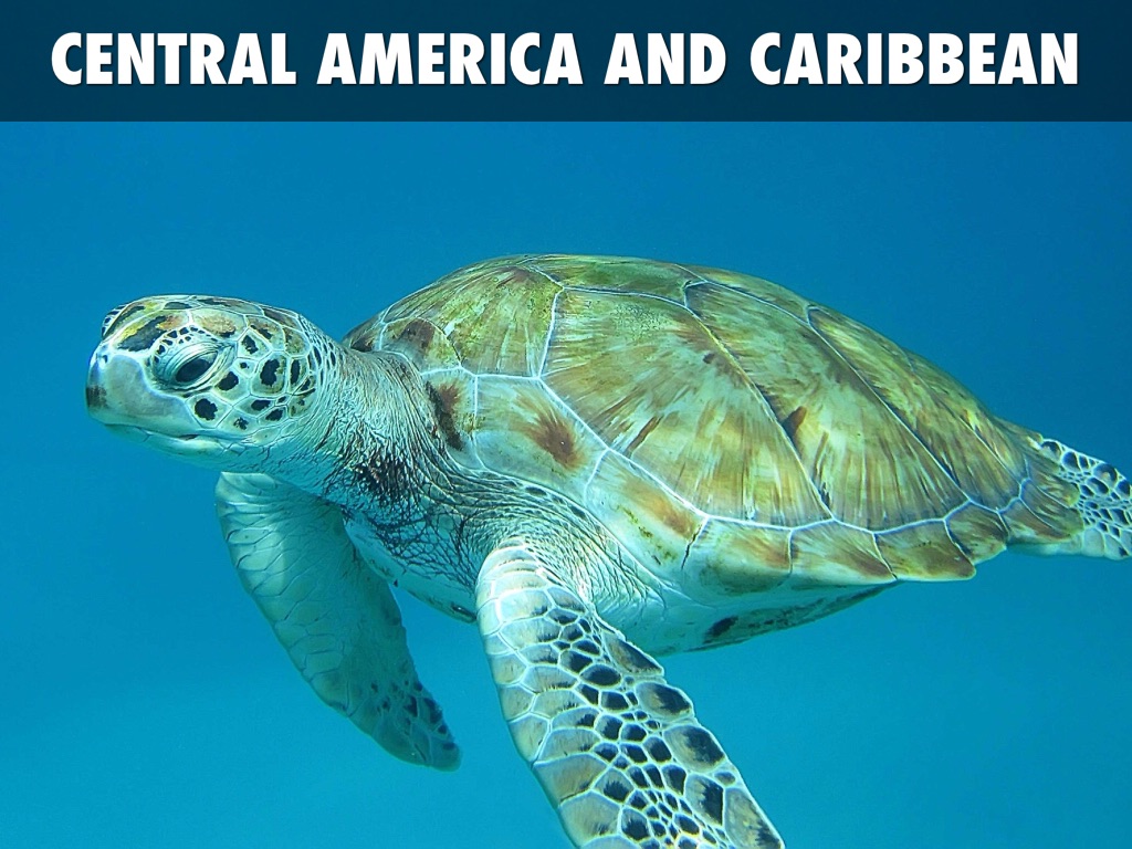 Untitled Haiku Deck by Sebastian Wolfgram