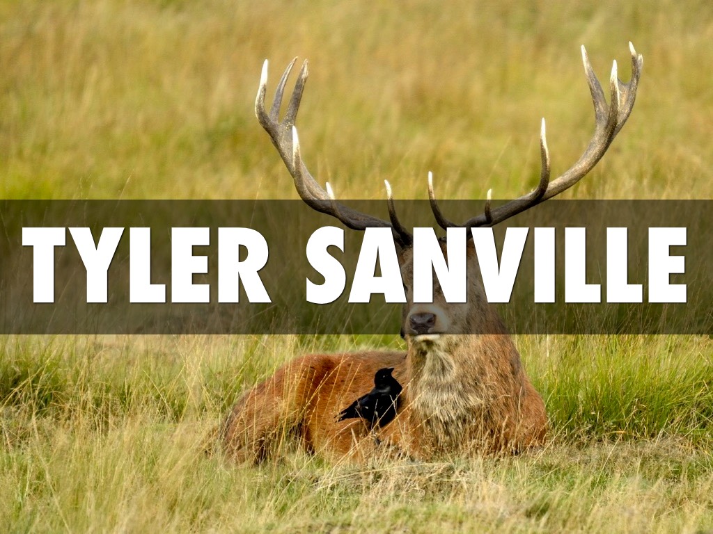 Tyler Sanville by Tyler Sanville