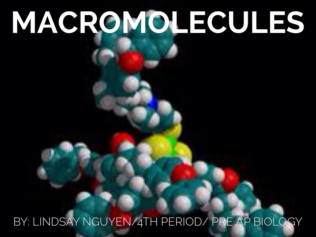 Macromolecules by Lindsay Nguyen