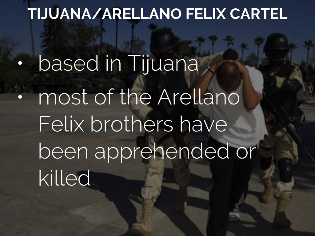 Latin America Drug Cartel by Bri Poore