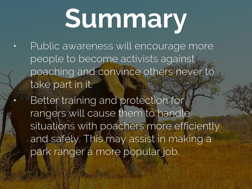 Poaching by Morgan Mato