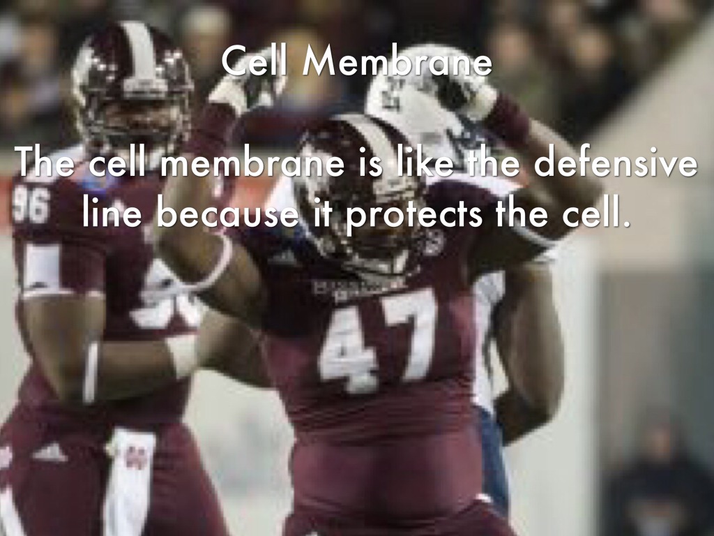 Football Cells by Logan Thayer