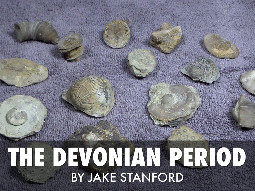 Geologic Project by aquaman61596