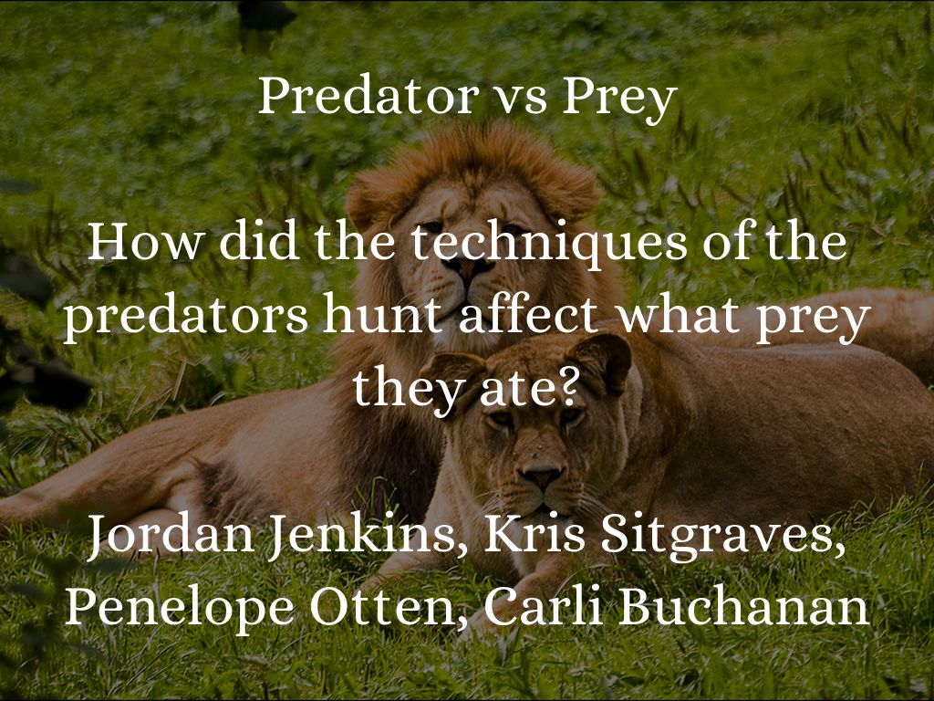 Predator Vs Prey by Carli Buchanan