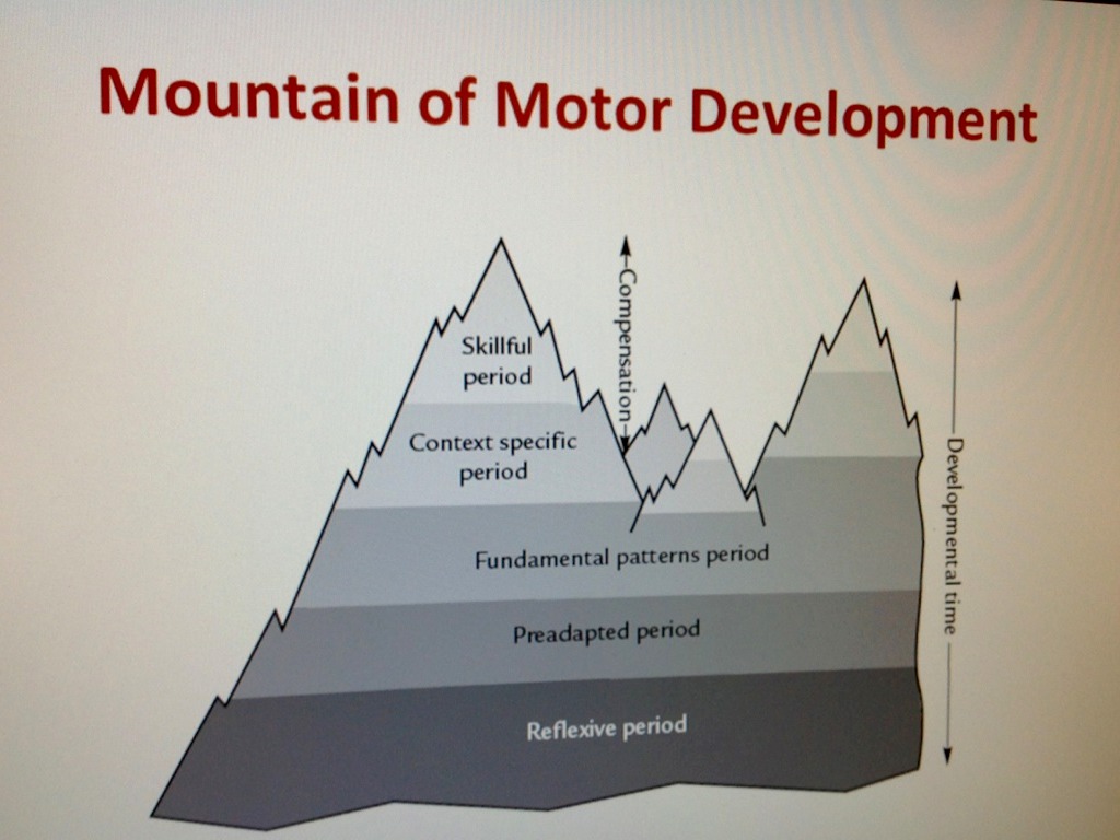 Motor Development-Chapter One by Kristen Mullady