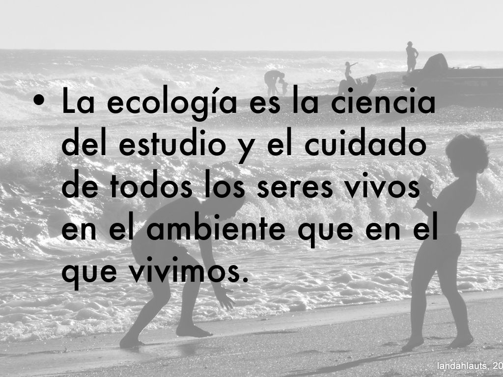 Ecologa Y Educacin Ambiental