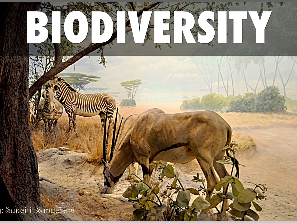 Geoterms 10 by Finn Durbin