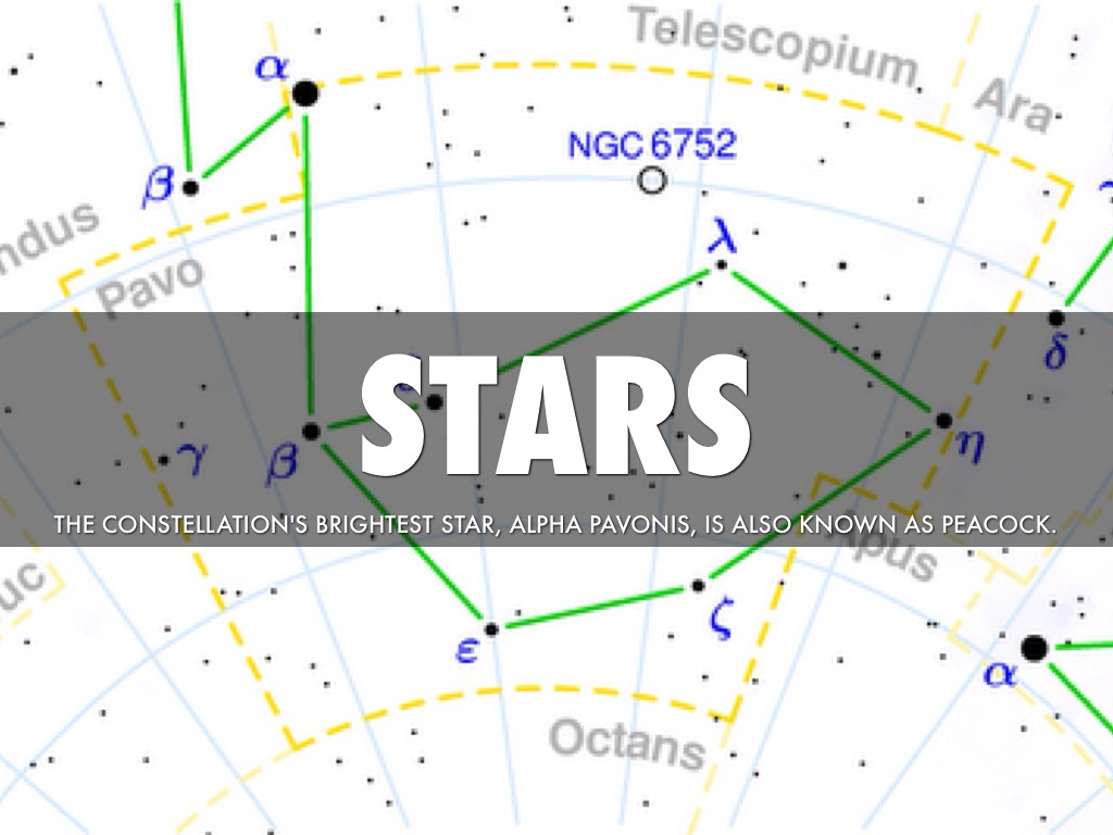 Pavo by Kristen Stanley