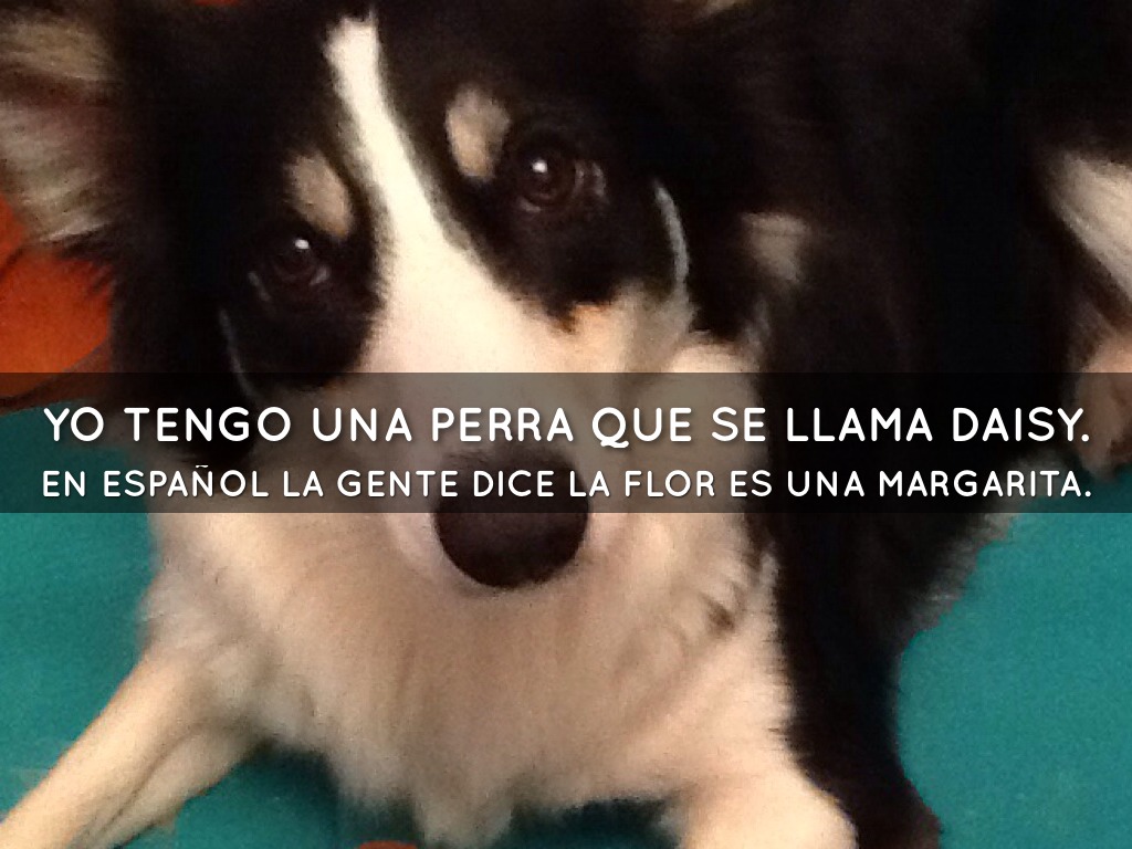 15 Datos Intersantes Sobre Mí Victoria Godden by