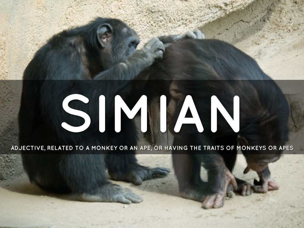 Quarter 1 Vocabulary by Kyle Rodriguez