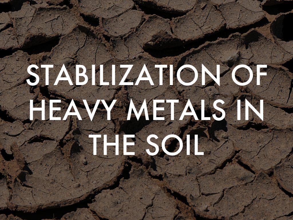 NEW METHODS OF CLEANING UP HEAVY METALIN SOILS AND