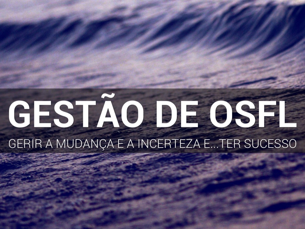 Gestão OSFL: Desafios by Paulo Teixeira