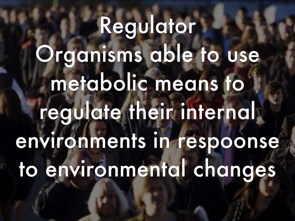 Ecology by Jordyn Rudd