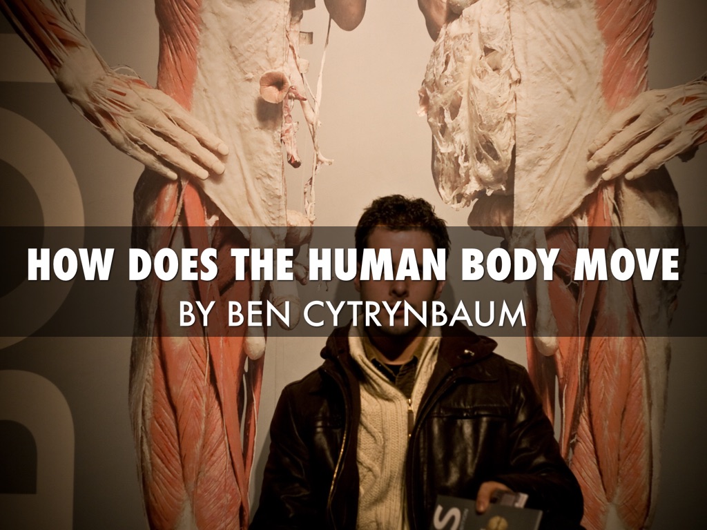 how does the human body move by Ben Cytrynbaum