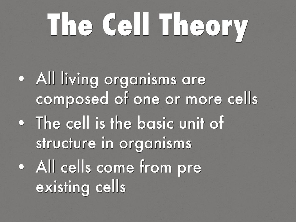 Plant Cell Vocabulary by Angie Stallbaumer