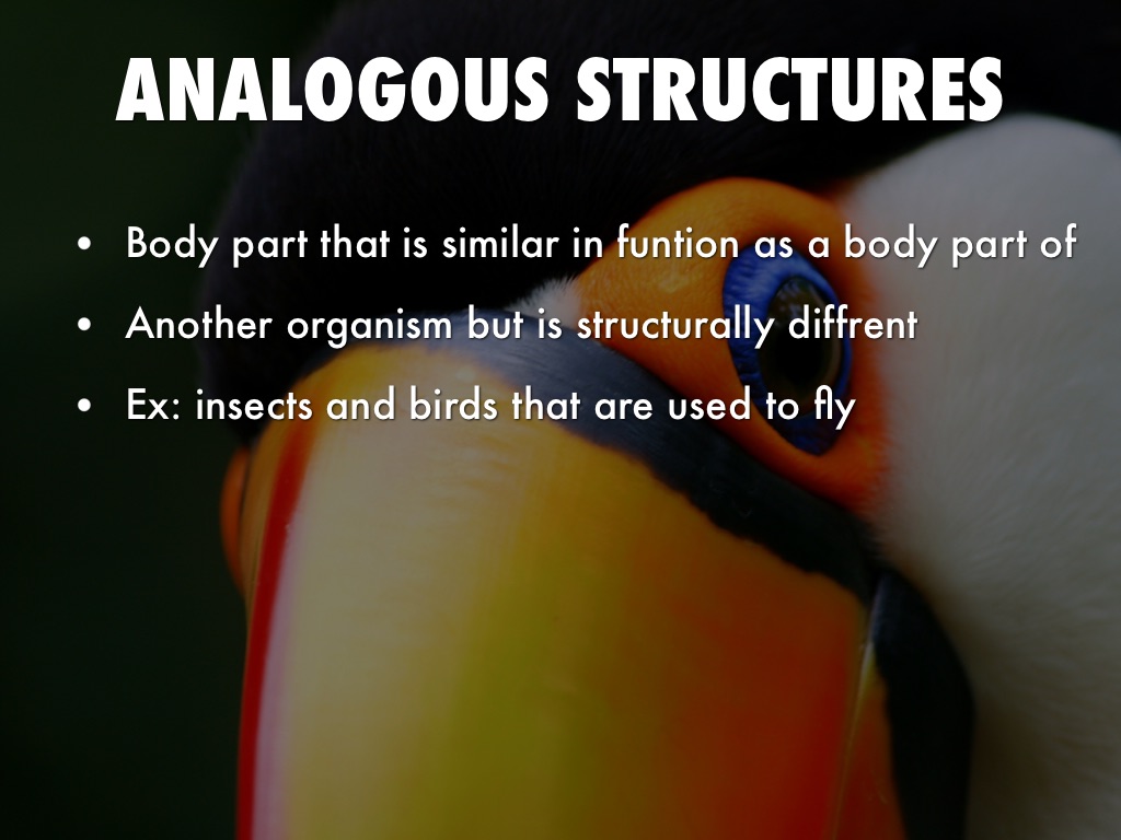 Genetics Vocabulary by Tierany Narro