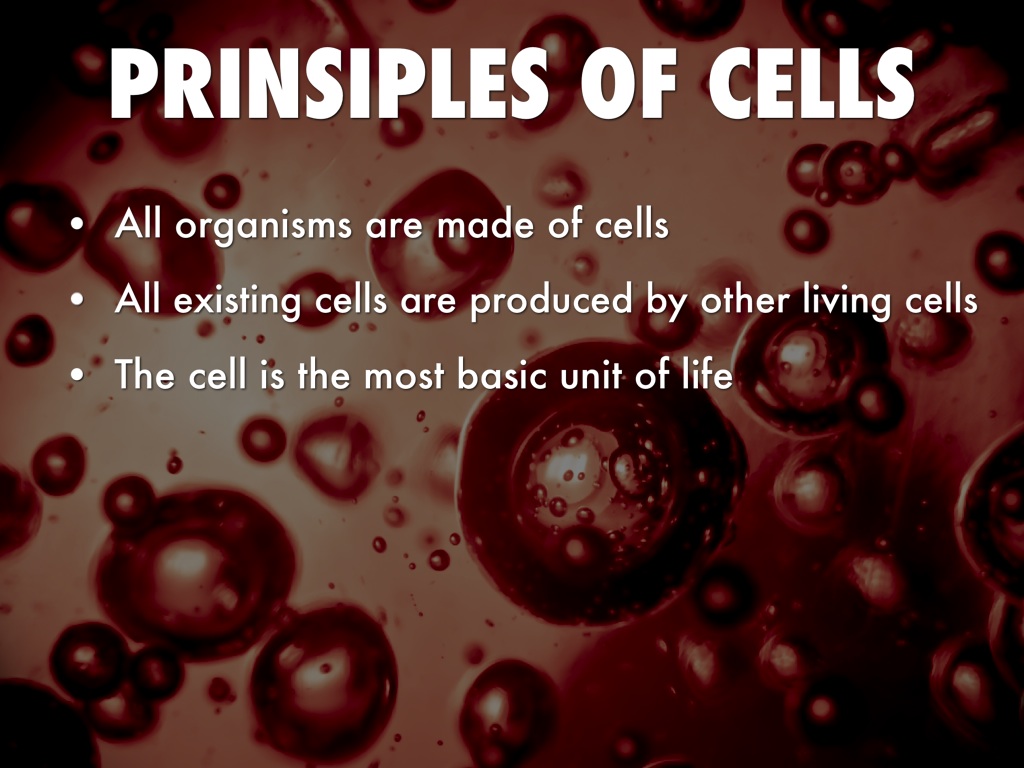 Cell Theory by Liam Worms