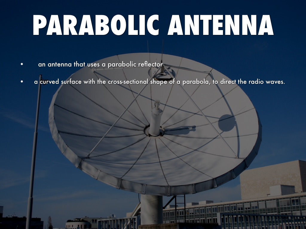 parabolas by Lisa Lachner