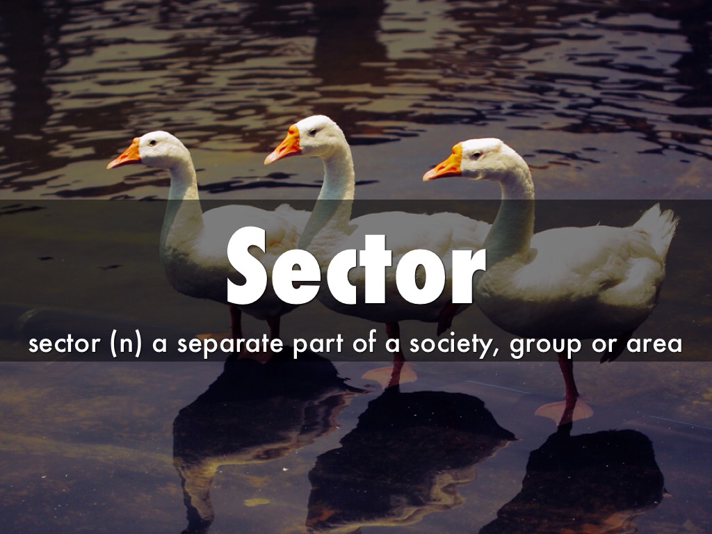 Sect Latin Root by Zack Aleckson