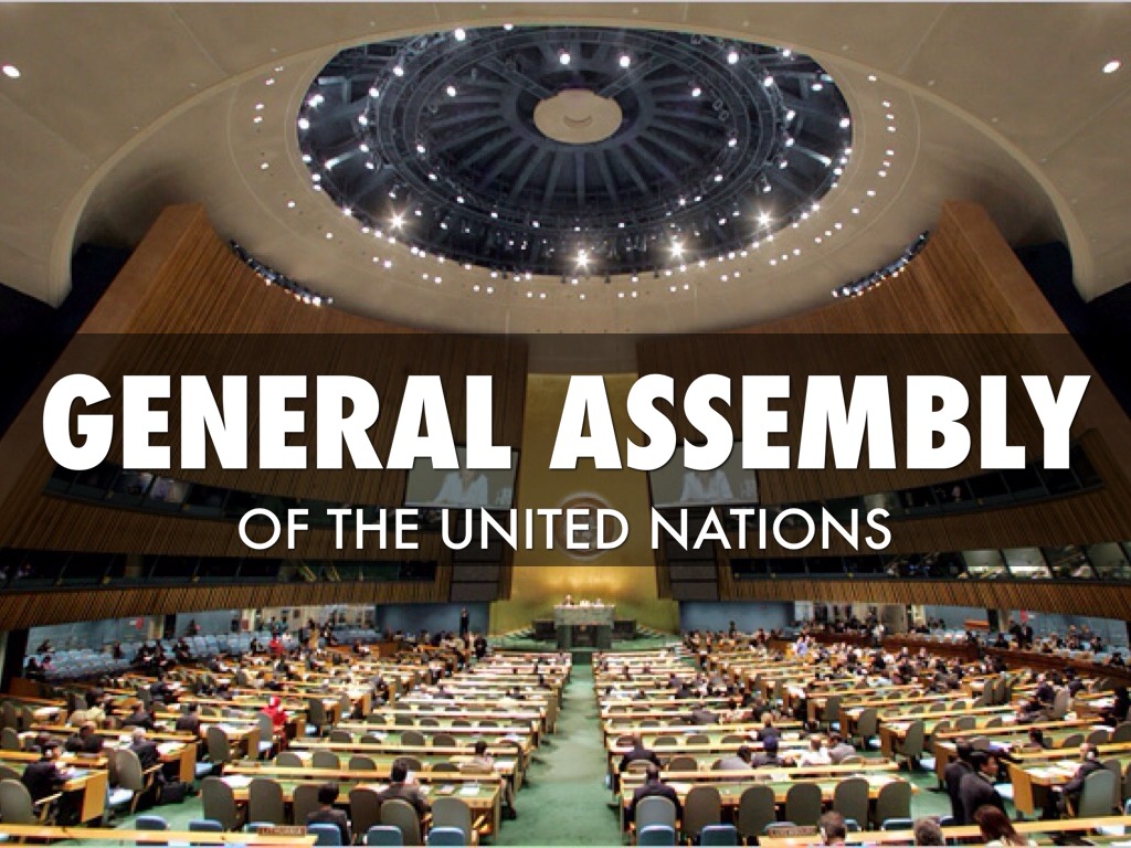 General Assembly by Andrea Flores