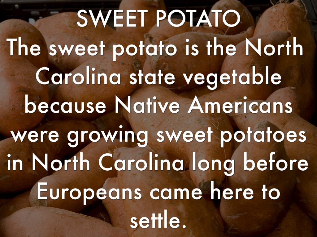 North Carolina by Hudson Adams