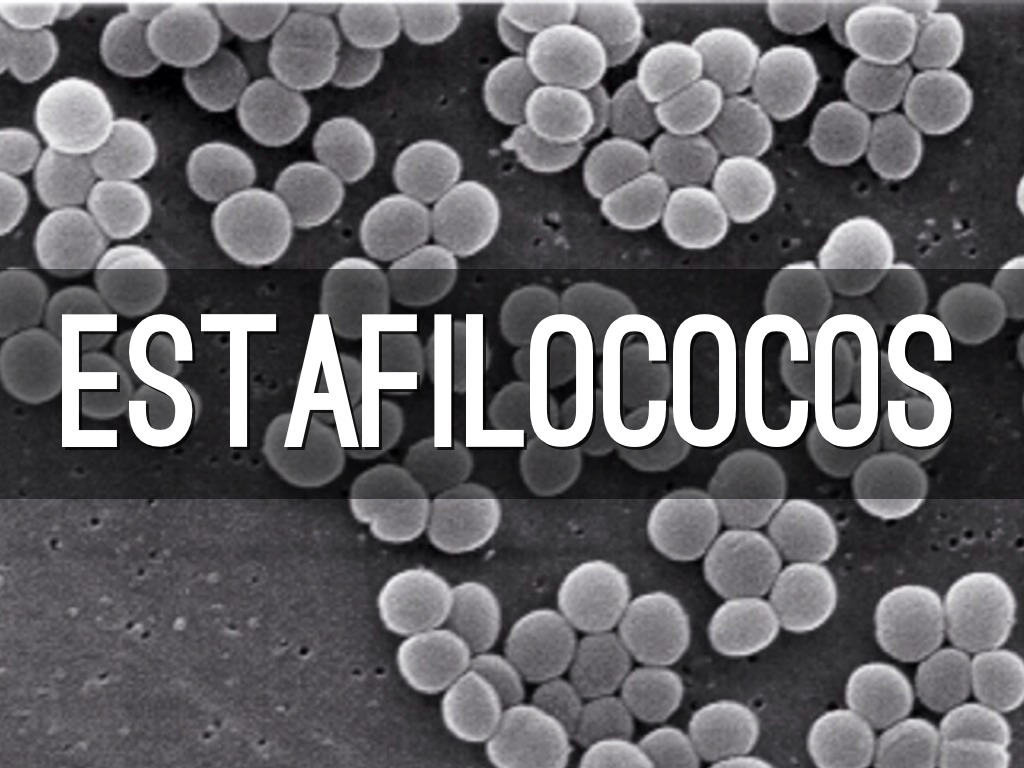 Estafilococos by Carlos Arango