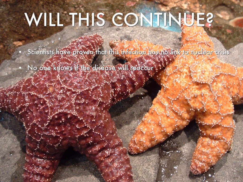 Starfish Epidemic by amanda.council